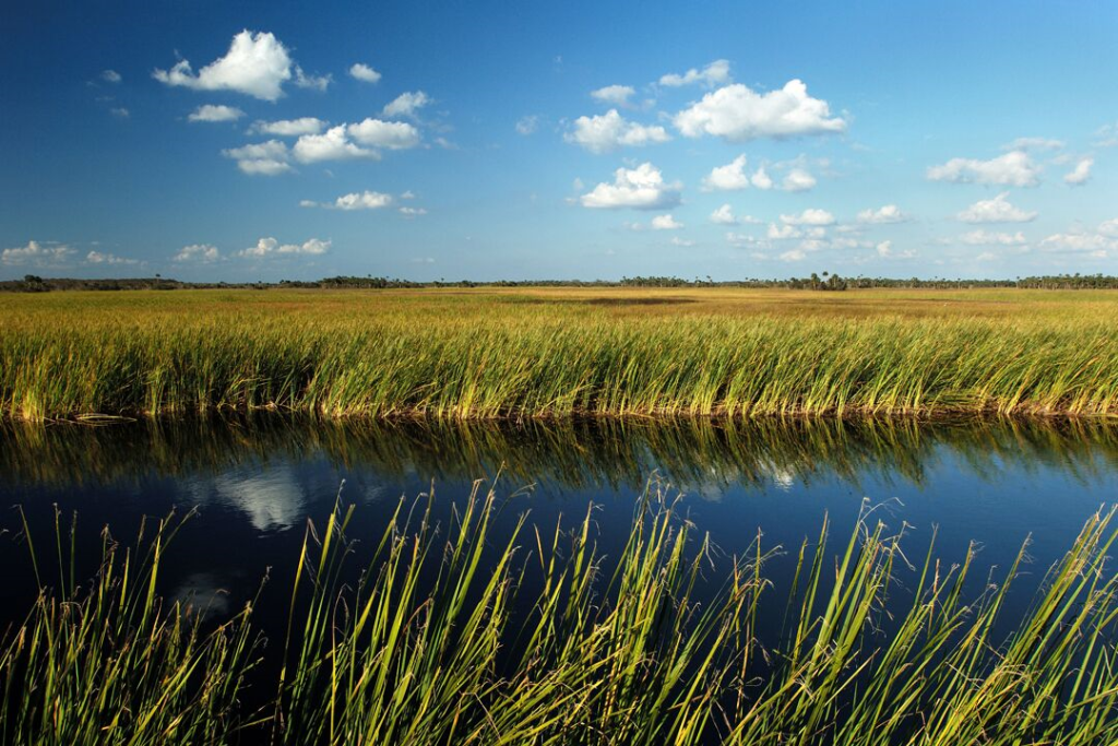 Center for Landscape Conservation Planning